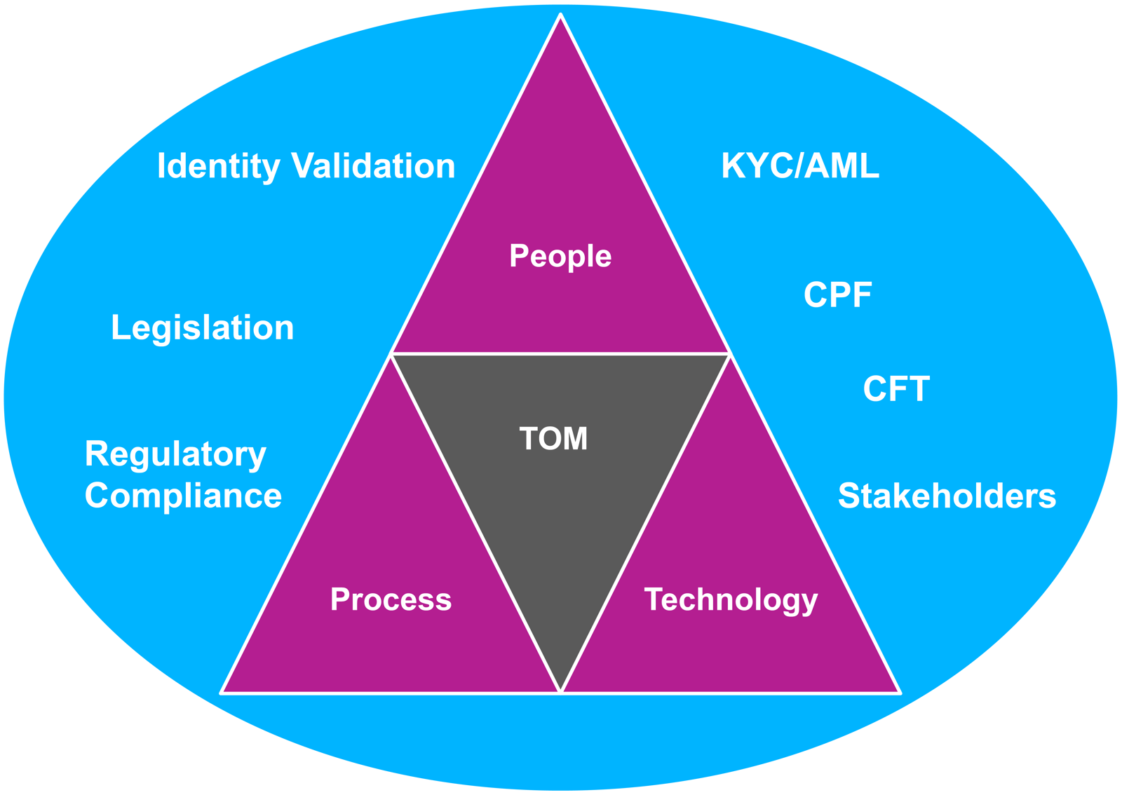 The Target Operating Model: Pioneering Changes in Registry Practices.
